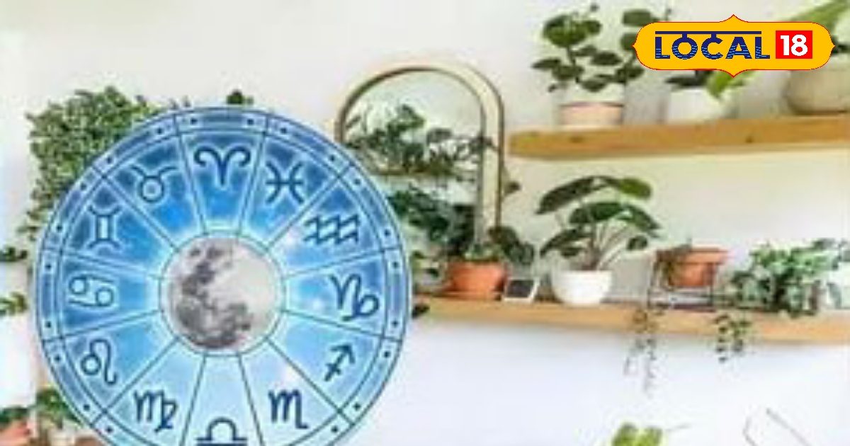 Dharma Karma: Plant trees according to zodiac sign, planet and ...