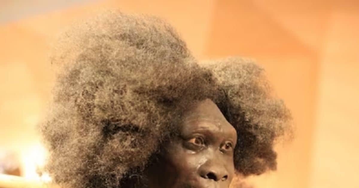 इंसान धरती पर कब और कहां से आए? दिखने में कैसे थे, क‍िस तरह हुआ इनका व ...