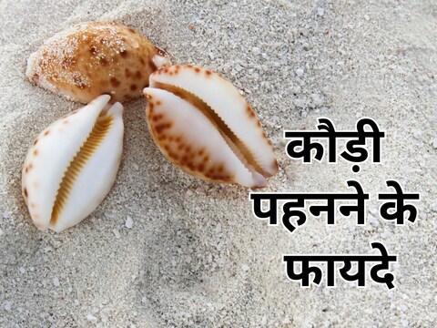 क्यों धारण की जाती है हाथ में कौड़ी? चौंका देंगे इससे होने वाले 4 फायदे ...