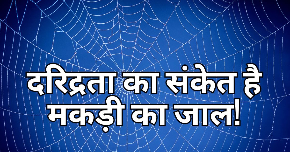 घर में जगह-जगह लगे हैं मकड़ी के जाले, बिना देर किए तुरंत हटाएं, वास्तु ...