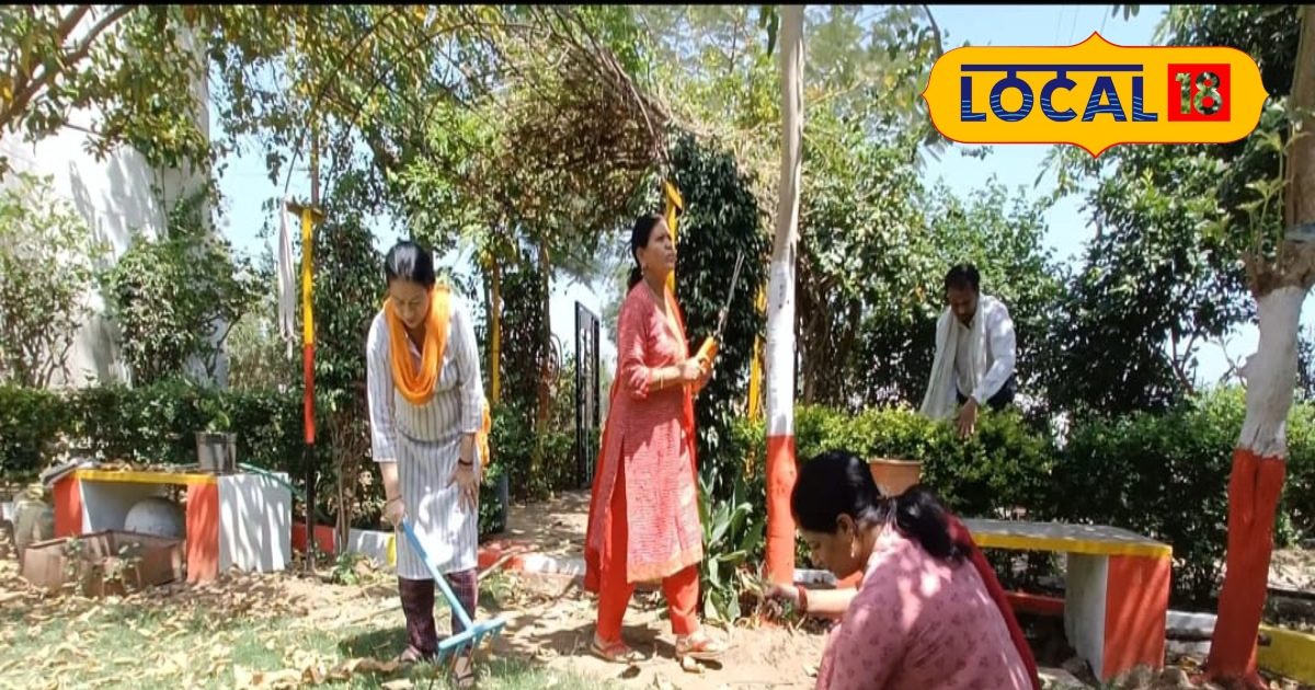 amazing-work-of-these-women-prepared-a-garden-of-organic-fodder-and ...