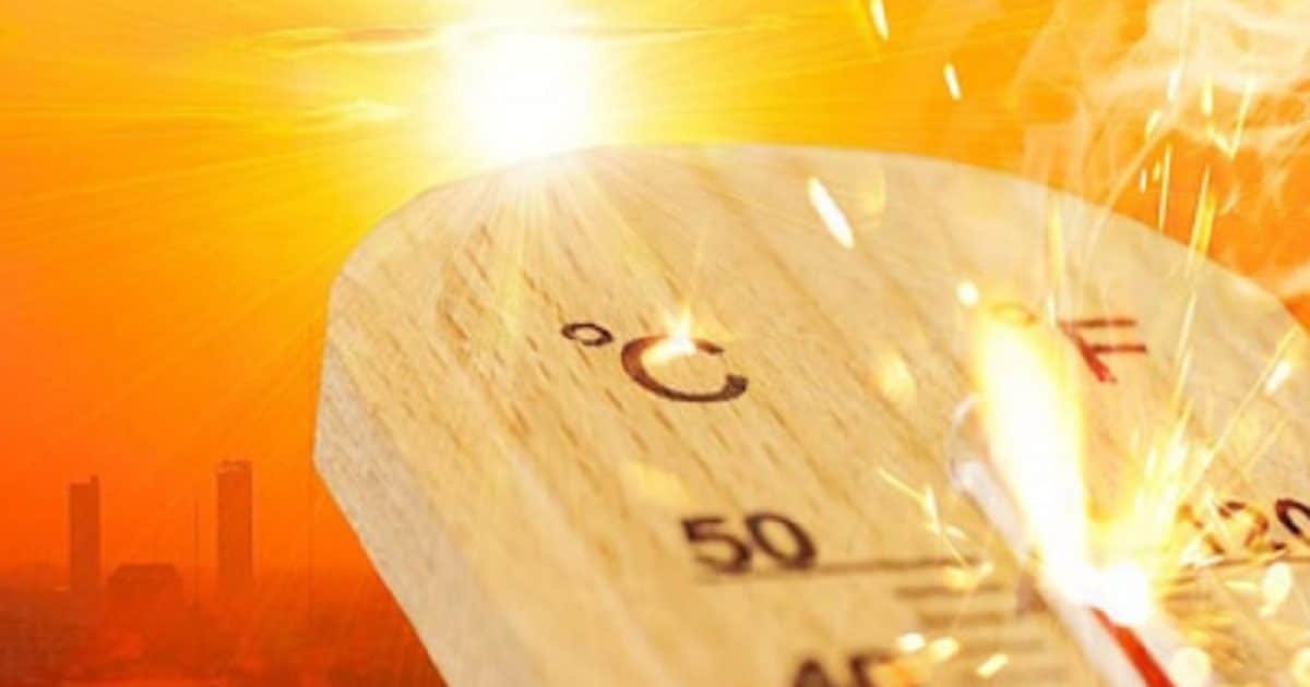 Explainer: अगर तापमान 49-50 डिग्री तक गया तो क्यों बड़े खतरे में होंगे ...
