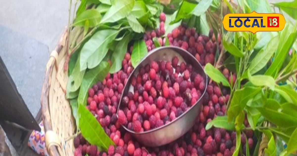health-benefits-of-eating-kafal-fruit-of-uttarakhand-panacea-for ...