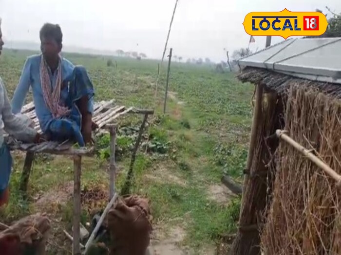 how-to-cultivation-of-parwal-crop-per-day-big-income-son-carried ...