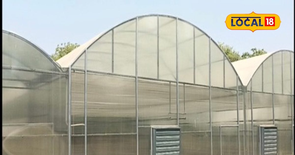 hi-tech-nursery-for-vegetable-seedling-will-beprepared-in-hi-tech ...