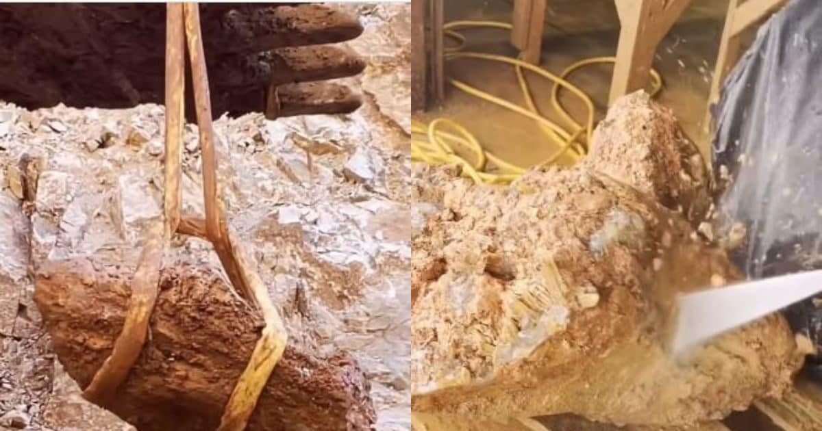 hidden treasure found jcb digging viral video found hidden crystal in ...