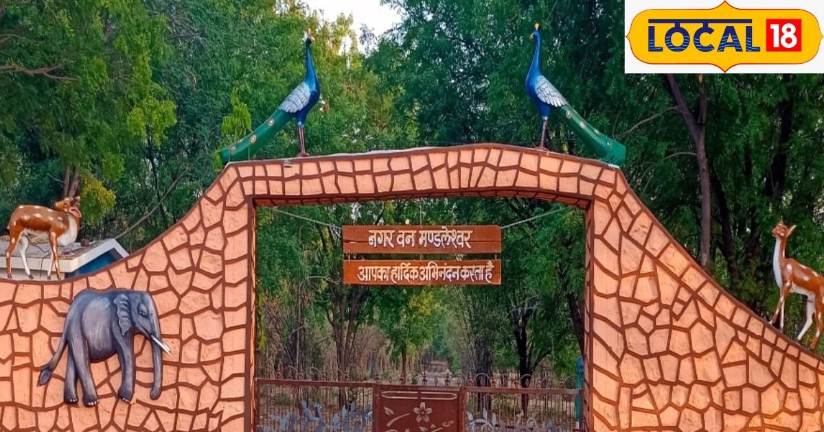 MP का सबसे बेस्ट नगर वन है यहां, खूबसूरती ऐसी कि मंत्रीजी भी झूलने लगे ...