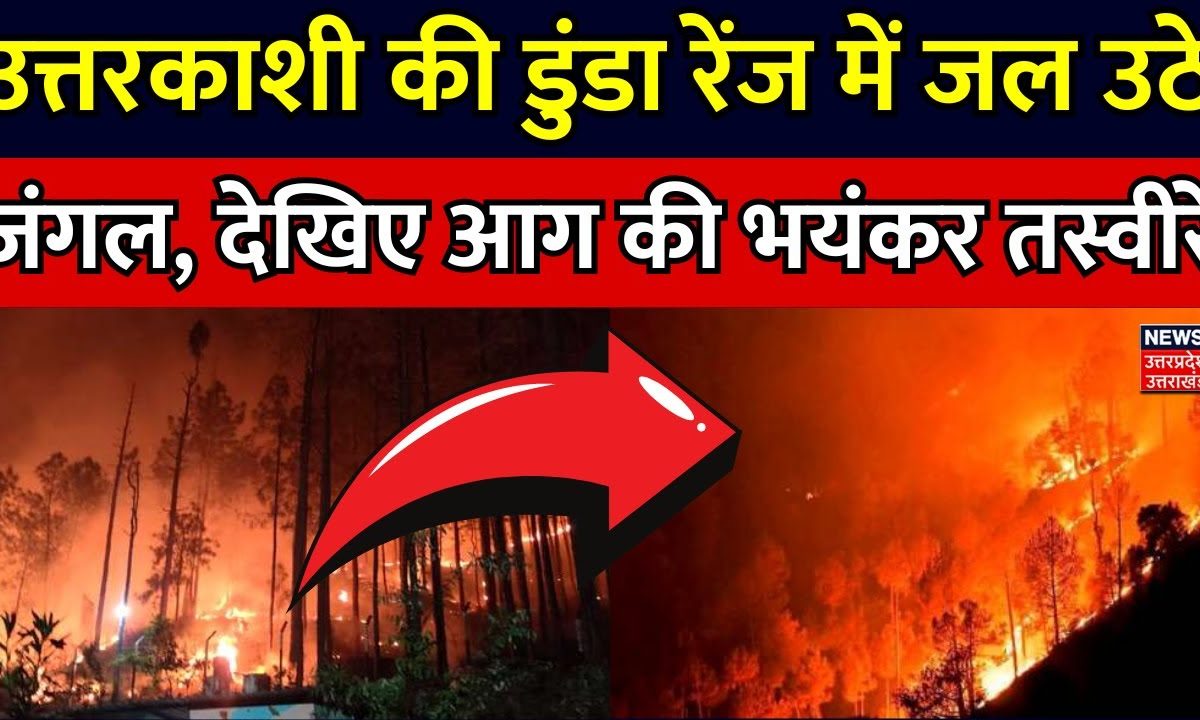 Uttarkashi Forest Fire: उत्तरकाशी की Dunda Range में जल उठे जंगल, देखिए ...