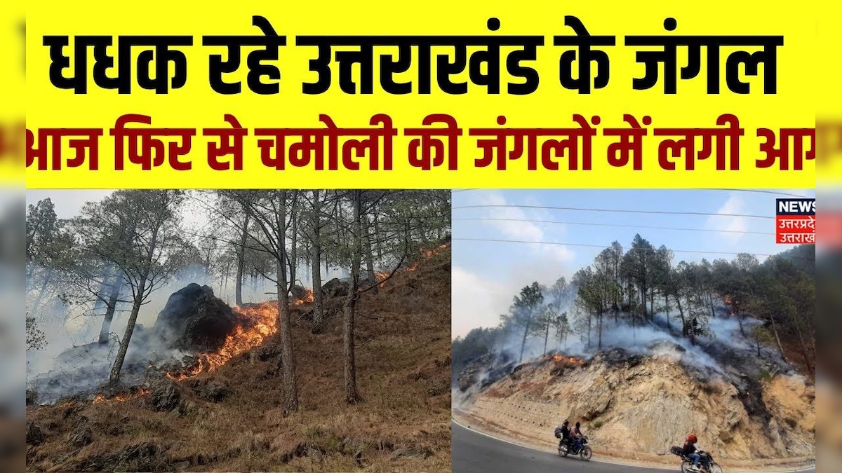 Fire in Chamoli Forest: सेलंग के जंगलों में आज फिर से लगी आग, बुझाने ...