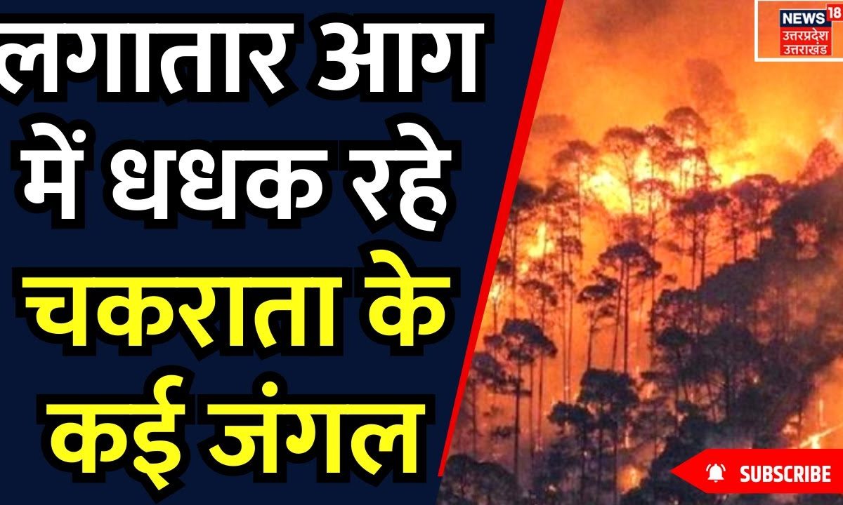 Uttarakhand Fire: लगातार आग में धधक रहे चकराता के कई जंगल | Chakrata ...