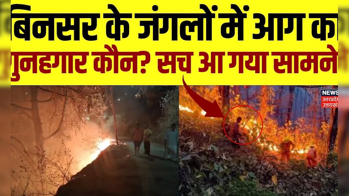 Uttarakhand Forest Fire: Binsar के जंगलों में आग का गुनहगार कौन? सच आ ...