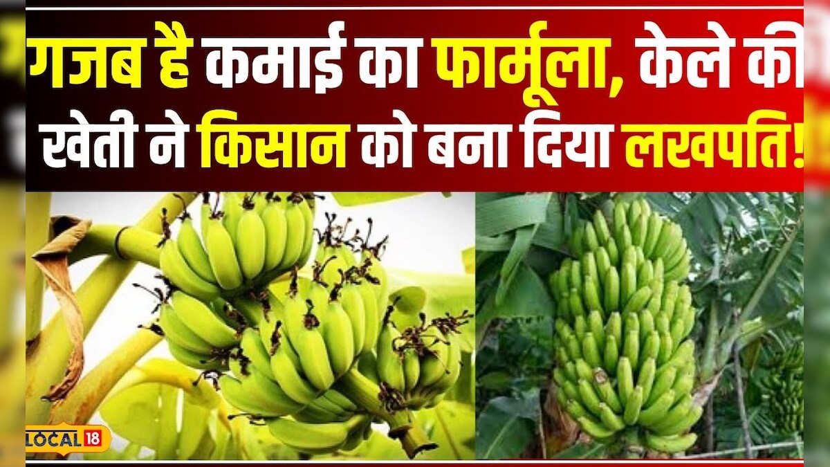 Banana Farming केले की खेती ने किसान की जिंदगी को बदला लखपति बनने का