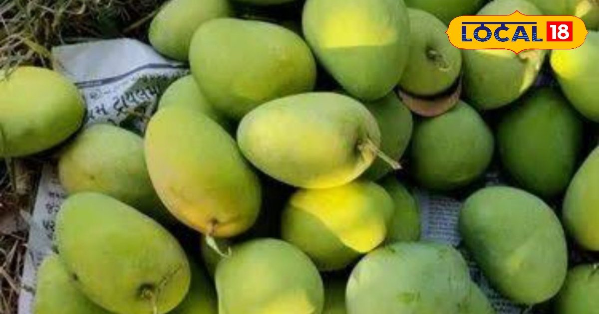 What kind of jardalu has this farmer grown that gives 1 kg mango for ₹ 800?