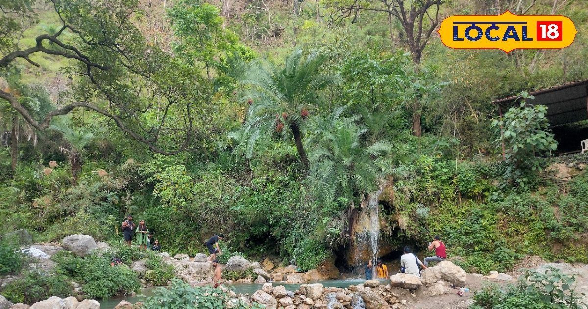 Secret waterfall in rishikesh is situated in between of forest