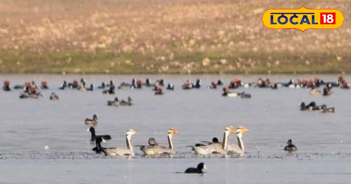This lake of Bihar has become international got the status of Ramsar ...