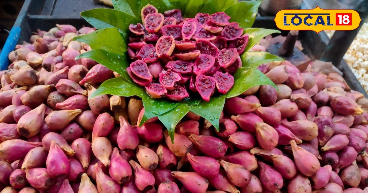 Ramfal fruit is believed to be eaten in lord Ram during vanvas - News18 ...