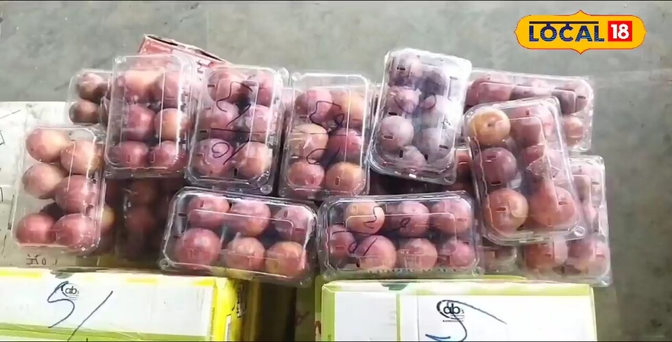 Stone-fruit-started-in-Shimla's-Dhali-vegetable-market - News18 हिंदी