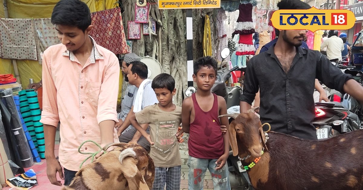 Goat market started in Muzaffarpur before Bakrid, goat named Moti is in ...