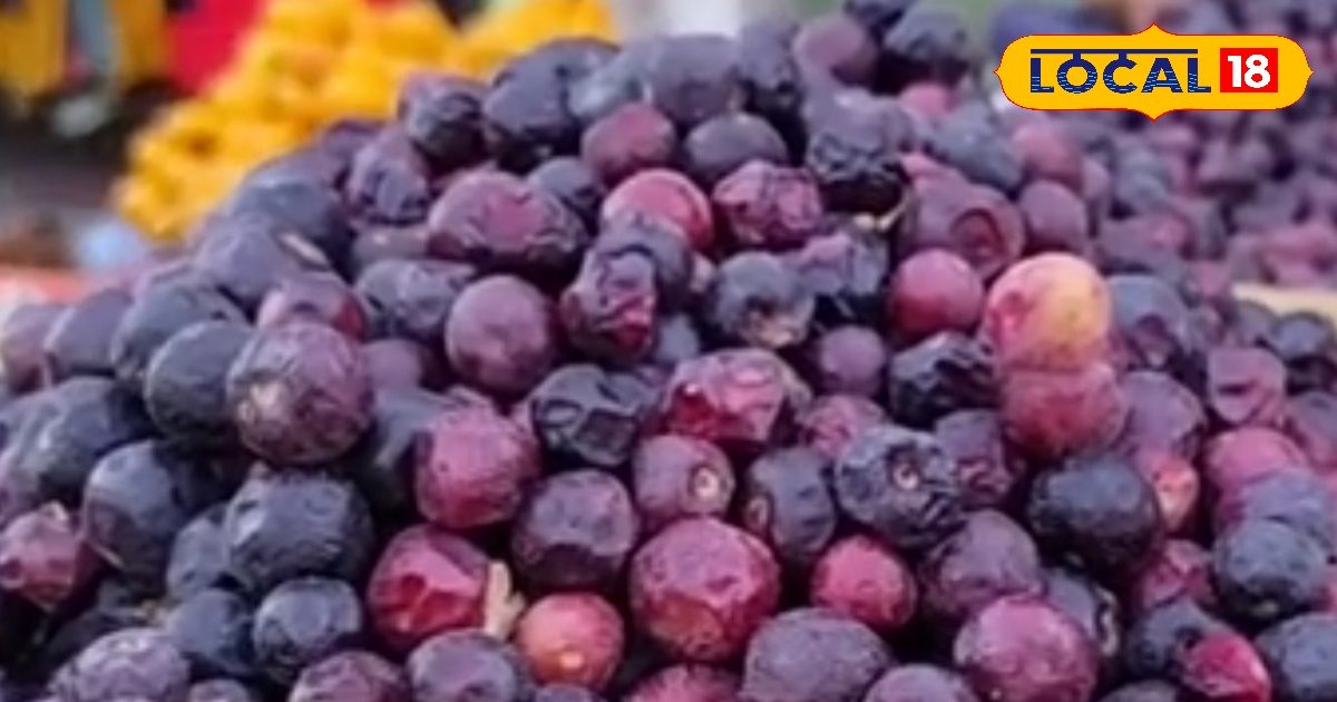 Phalsa fruit is eaten a lot in summer, consuming which provides many ...