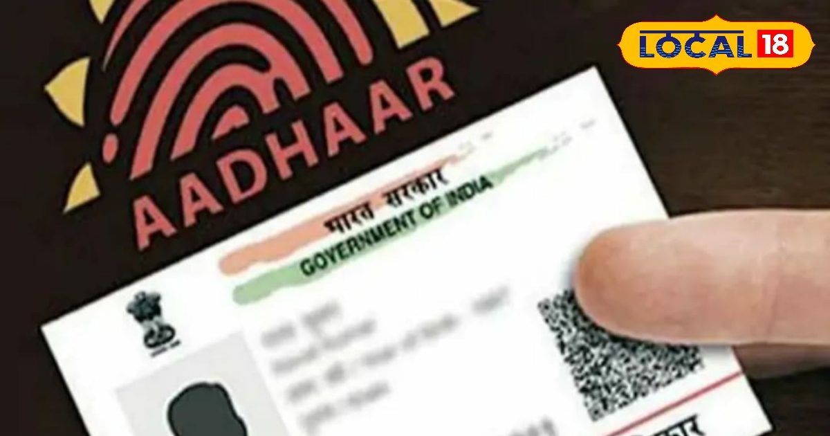 In this way, you can update your Aadhaar card from your mobile phone ...