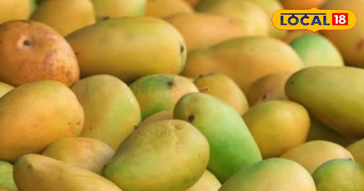 Did you also bring poison instead of mango? Identify mangoes containing ...