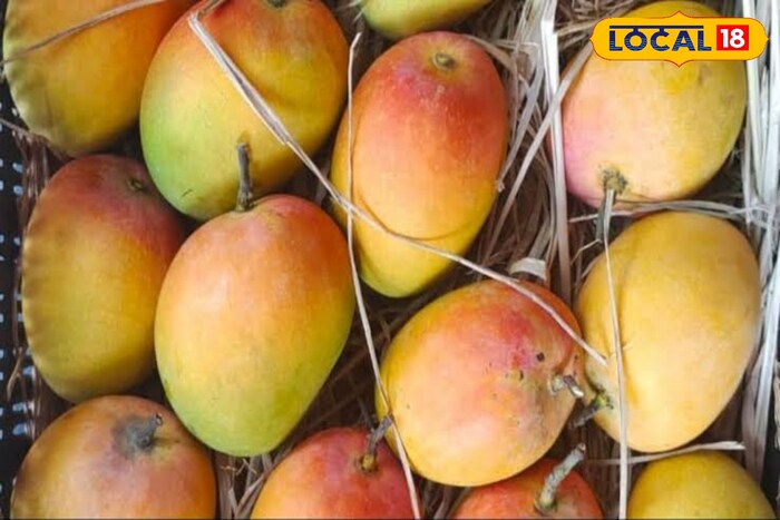 Did you also bring poison instead of mango? Identify mangoes containing ...