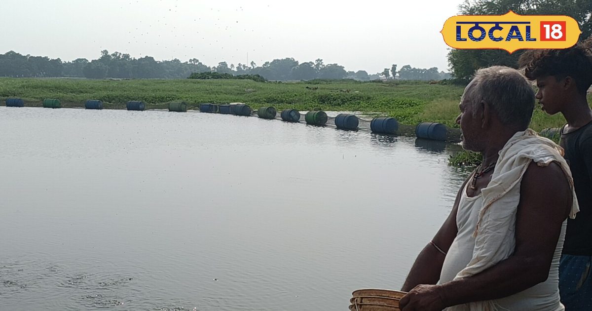 Fish farming is being done under pen culture in Saharsa, know how it works