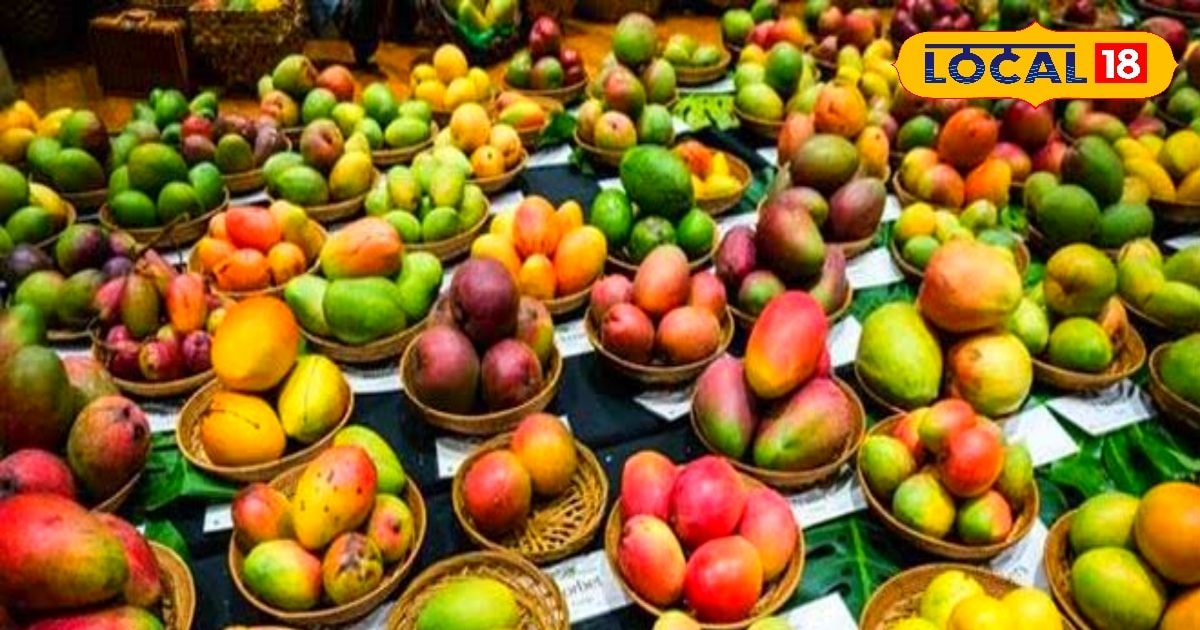 Mango festival is being organized here in Patna from tomorrow, you can ...