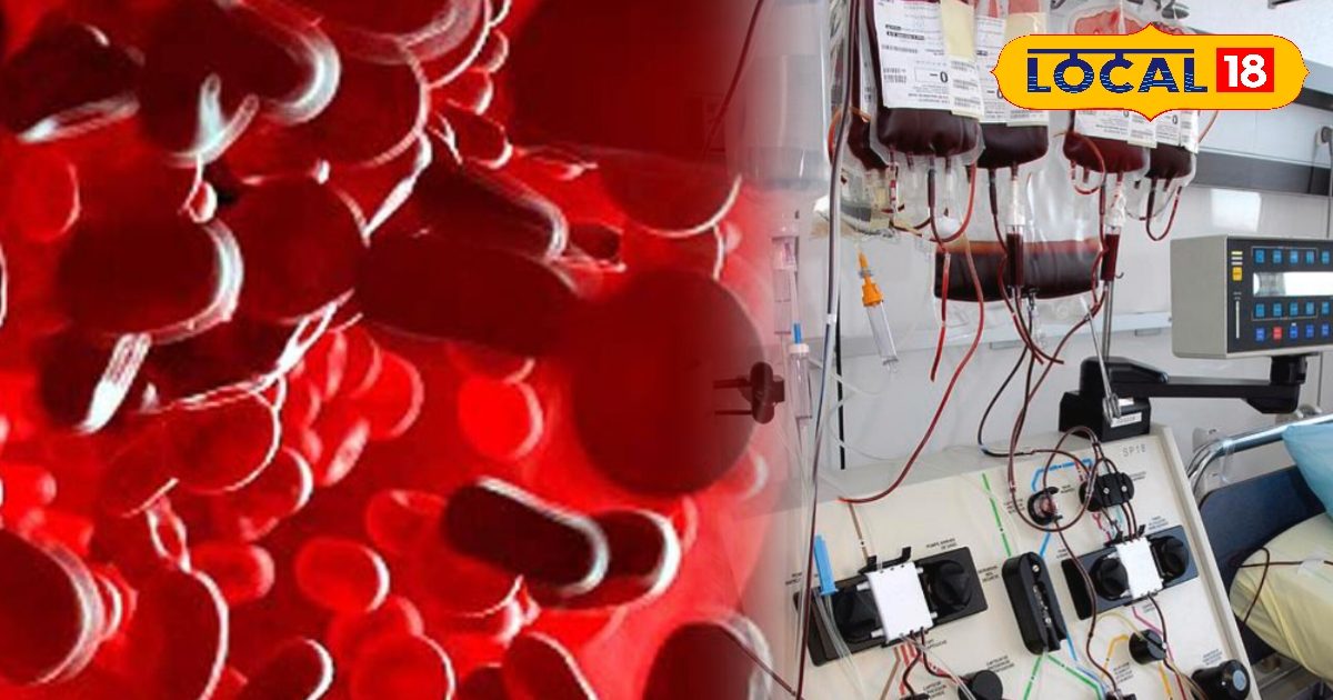 Apheresis machine installed in this hospital of Bihar this machine will ...