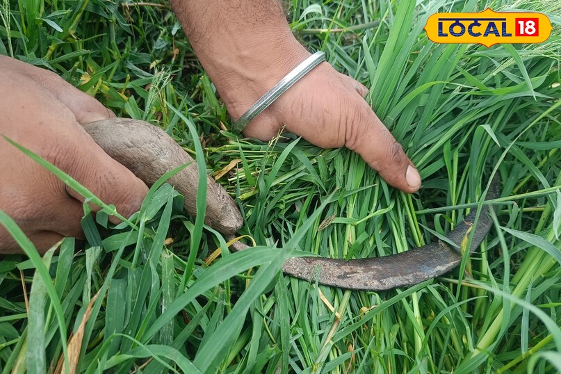 शहरों में रहने वाले जरा देख लें किसानों के 10 'हथियार', ये न होते तो ...