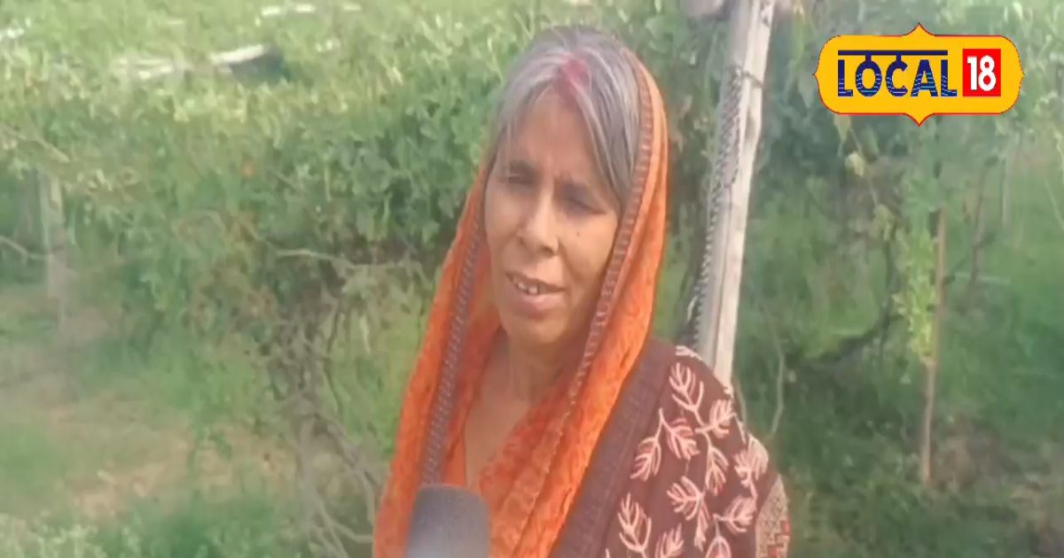 A 1987 graduate woman farmer does Kunjari farming... this much is her ...