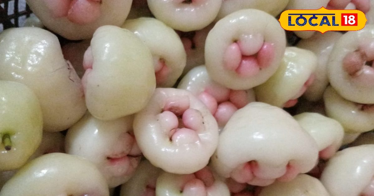 This fruit is available in the market for only two months, it is so ...
