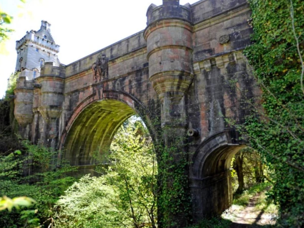 साधारण सा दिखता है ये पुल, एक रहस्य बना पहेली, कुत्ते करते हैं ...