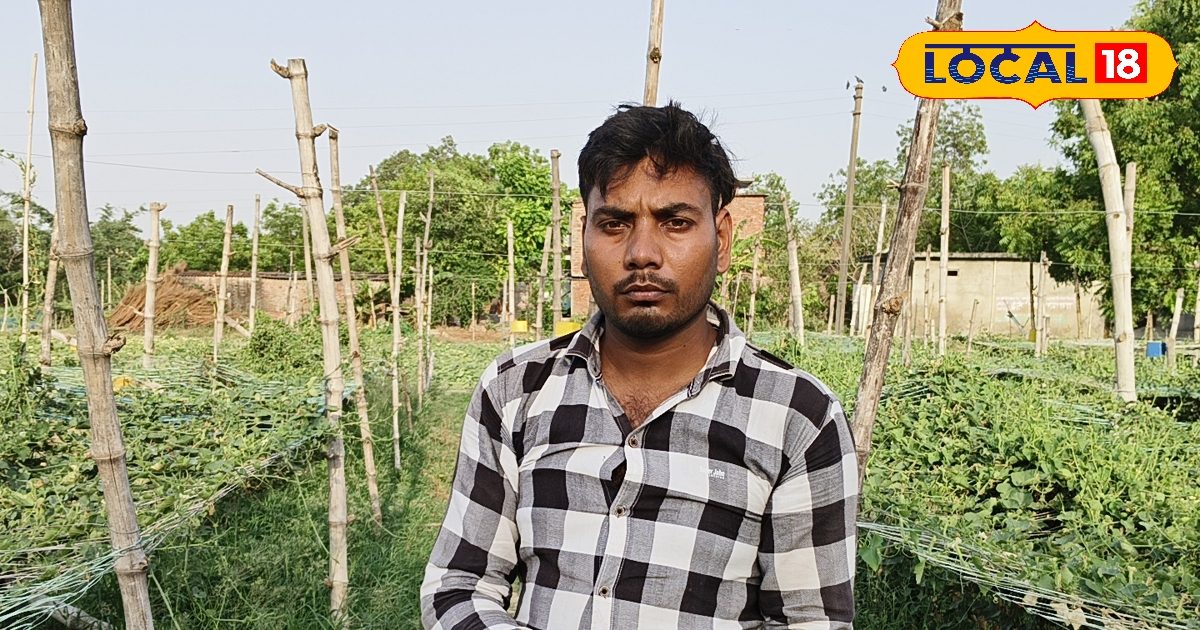 लॉकडाउन में छोड़ी मुंबई, गांव पहुंच शुरु की ये खेती; कम लागत में करते ...