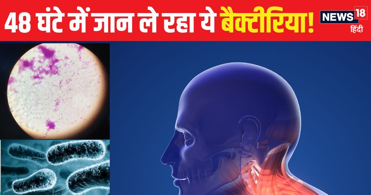 STSS Japan: बॉडी में 48 घंटे भी रहा तो समझो गई जान, जापान में क्यों कहर ...