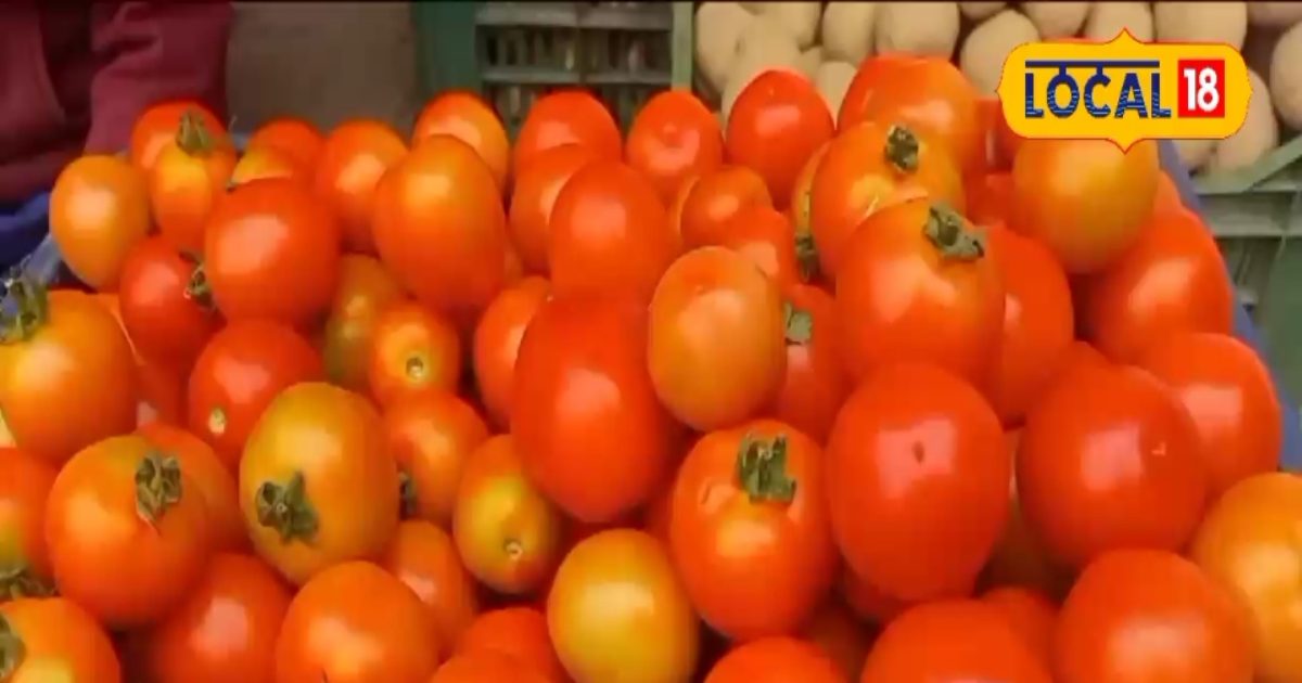 टमाटर की खेती पर मिल रहा 40 फीसदी अनुदान, बढ़ जाएगी आय; ऐसे करें आवेदन ...