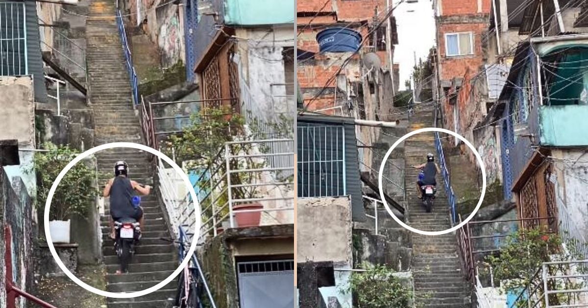 VIDEO: खतरों का खिलाड़ी! सीढ़ियों पर सरपट दौड़ा दी बाइक, शख्स का अनोखा ...