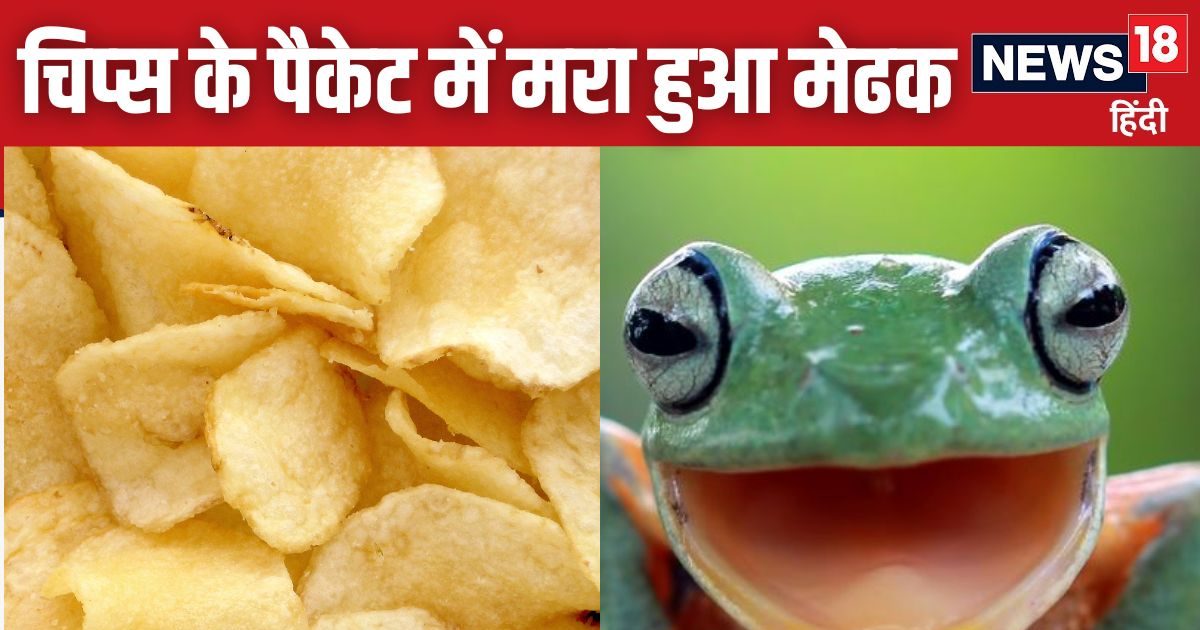 अब किसपर करें भरोसा...आइसक्रीम में अंगुली के बाद आलू चिप्‍स के पैकेट ...