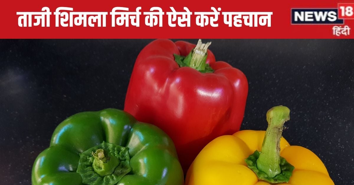 Alert! शिमला मिर्च में निकल रहा है अजीब सफेद धागे सा लंबा कीड़ा, खरीदते ...