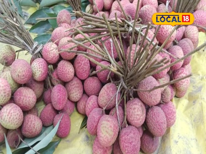 muzaffarpur-world-famous-shahi-litchi-hit-by-heat-80-percent-wasted-due ...