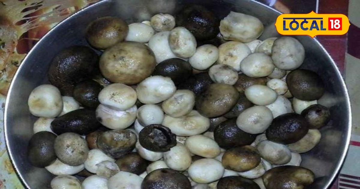 dhoni-famous-vegetable-rugda-of-jharkhand-you-will-forget-the-taste-of ...