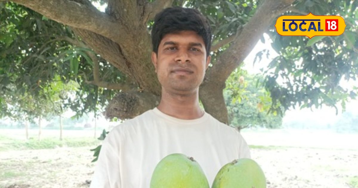 Farmer of Bihar left job pakage Rs 35 lakh and earned profit by mango ...