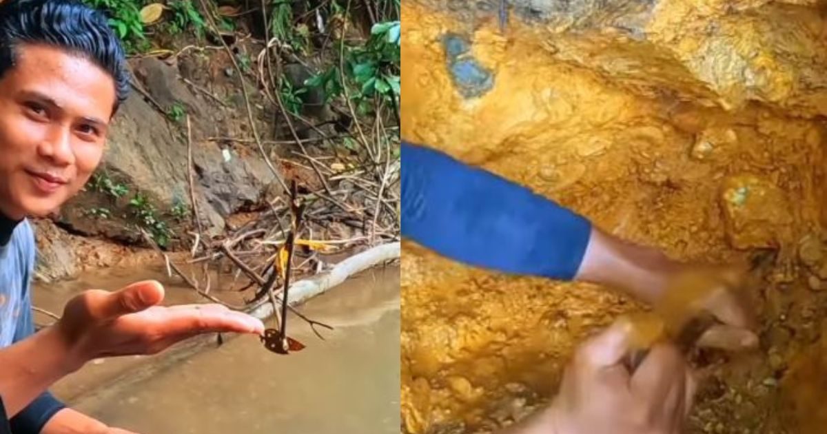 खदान में खुदाई कर रहा था शख्स, मिट्टी में दबे पत्थरों में मिली चमकती ...