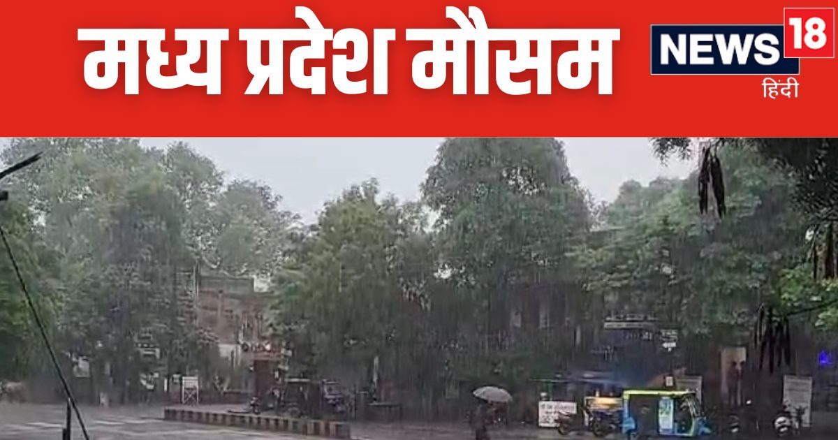 MP Weather: मध्य प्रदेश में स्ट्रॉन्ग सिस्टम एक्टिव, 17 जिलों में हो ...