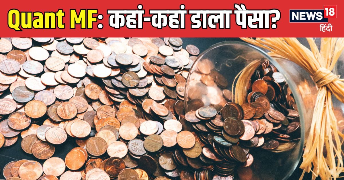 Quant MF: साल में 80% तक रिटर्न देने वाले फंड ने कहां लगाया पैसा? लीजिए ...