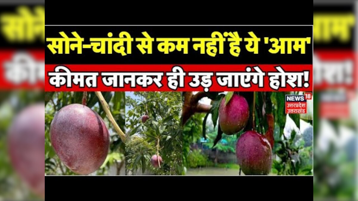 Most Expensive Mango: सोने-चांदी से कम नहीं है ये 'आम', कीमत जानकर ही ...