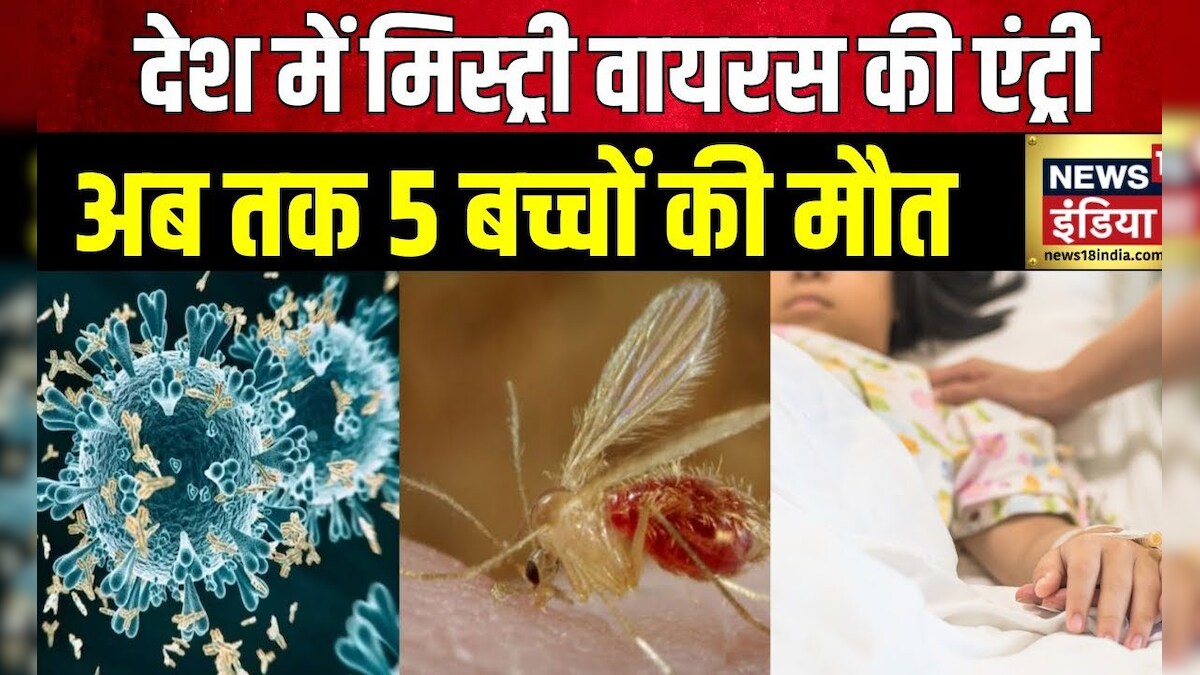 Chandipura Virus: Gujarat में 2 दिन के अंदर 5 बच्चों की मौत, Pune भेजे ...