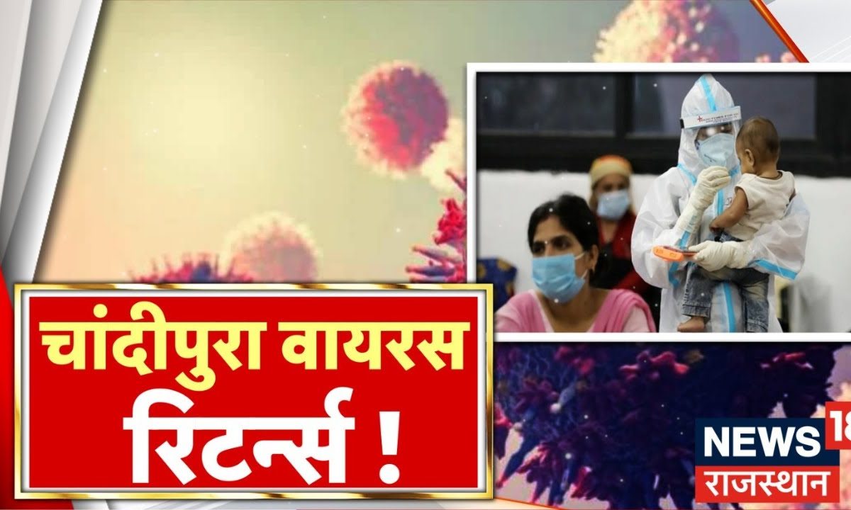 Chandipura Virus News : चांदीपुरा वायरस बच्चों को बना रहा है शिकार ...