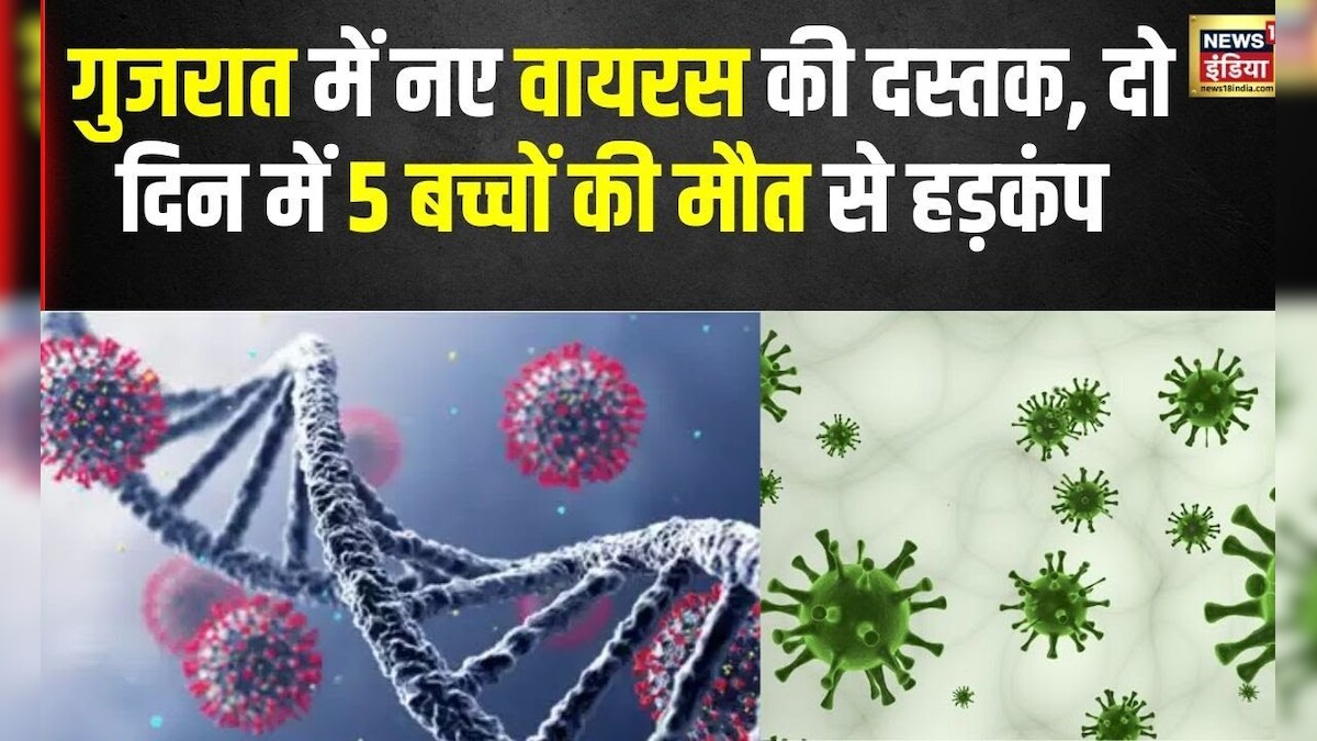 Chandipura Virus: Gujarat में 2 दिन के अंदर 5 बच्चों की मौत, Pune भेजे ...