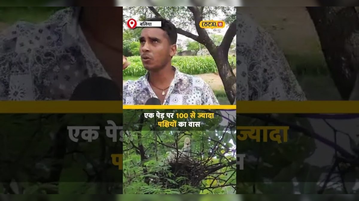 बारिश का मौसम शुरू, गांव आए खास मेहमान, श्रीरामपुर घाट के पास दिखेगा ...